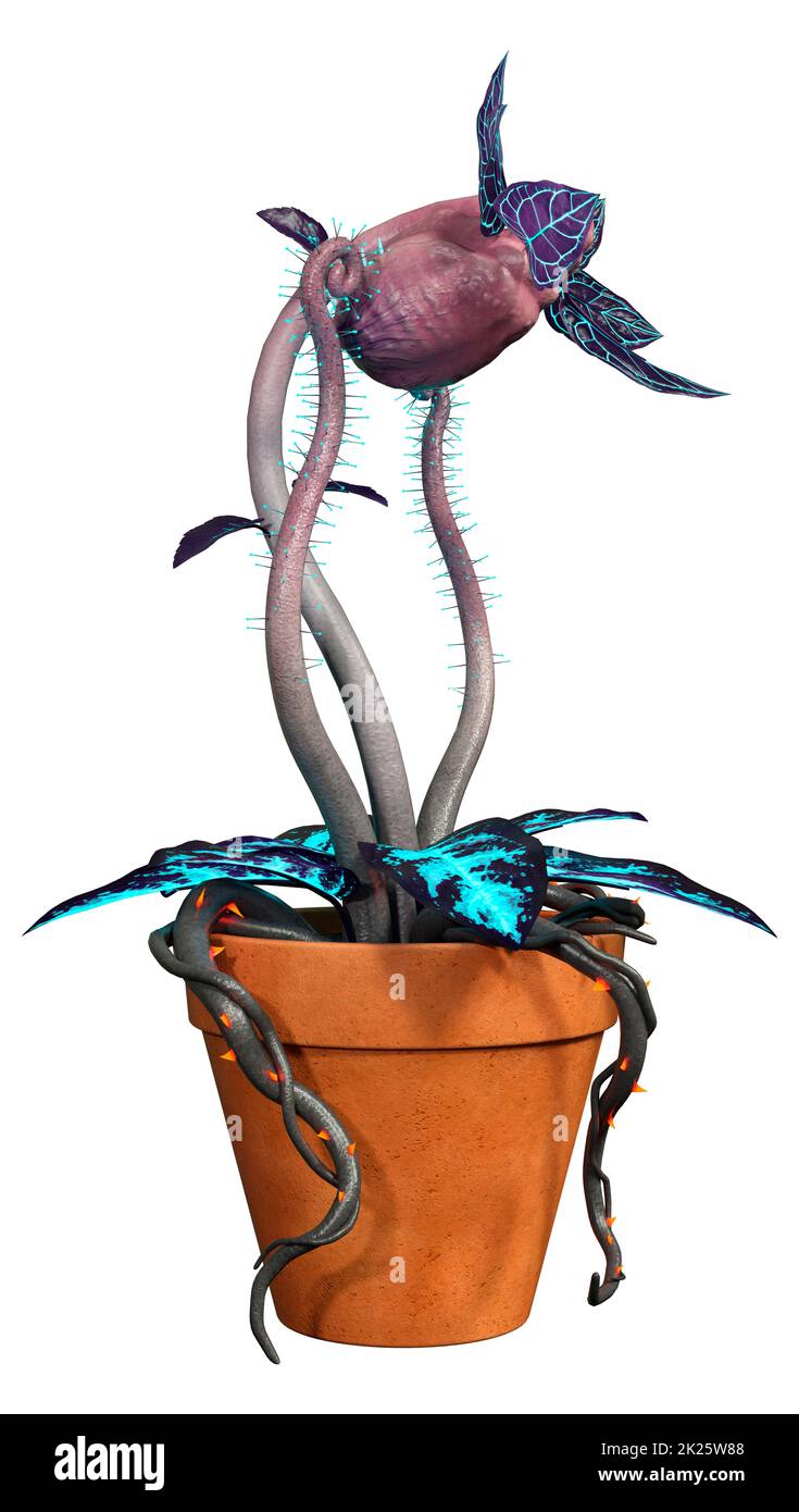 Carnivorous leaves Cut Out Stock Images & Pictures - Alamy