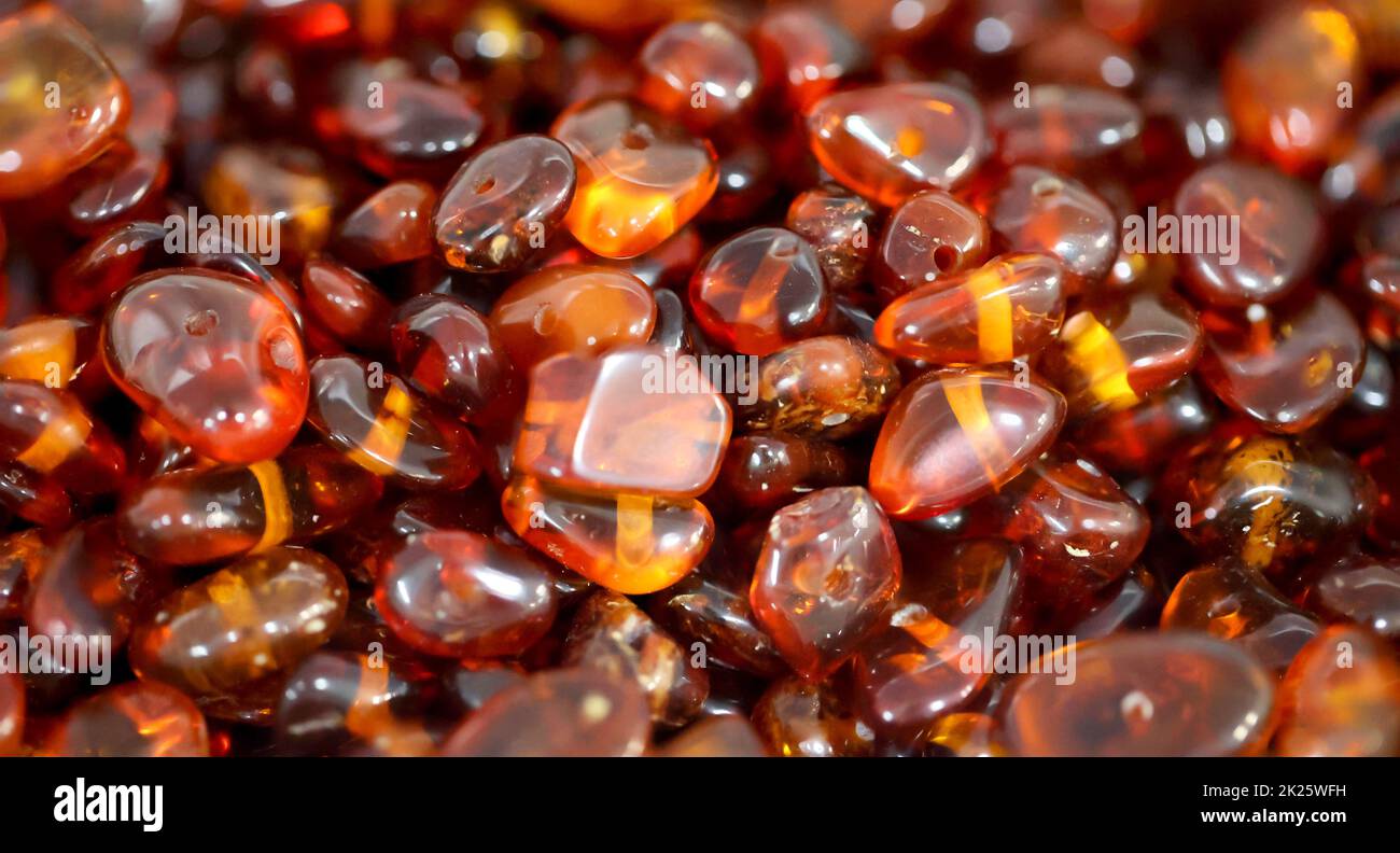 Amber in its natural form and warm color. Amber is often processed into ...