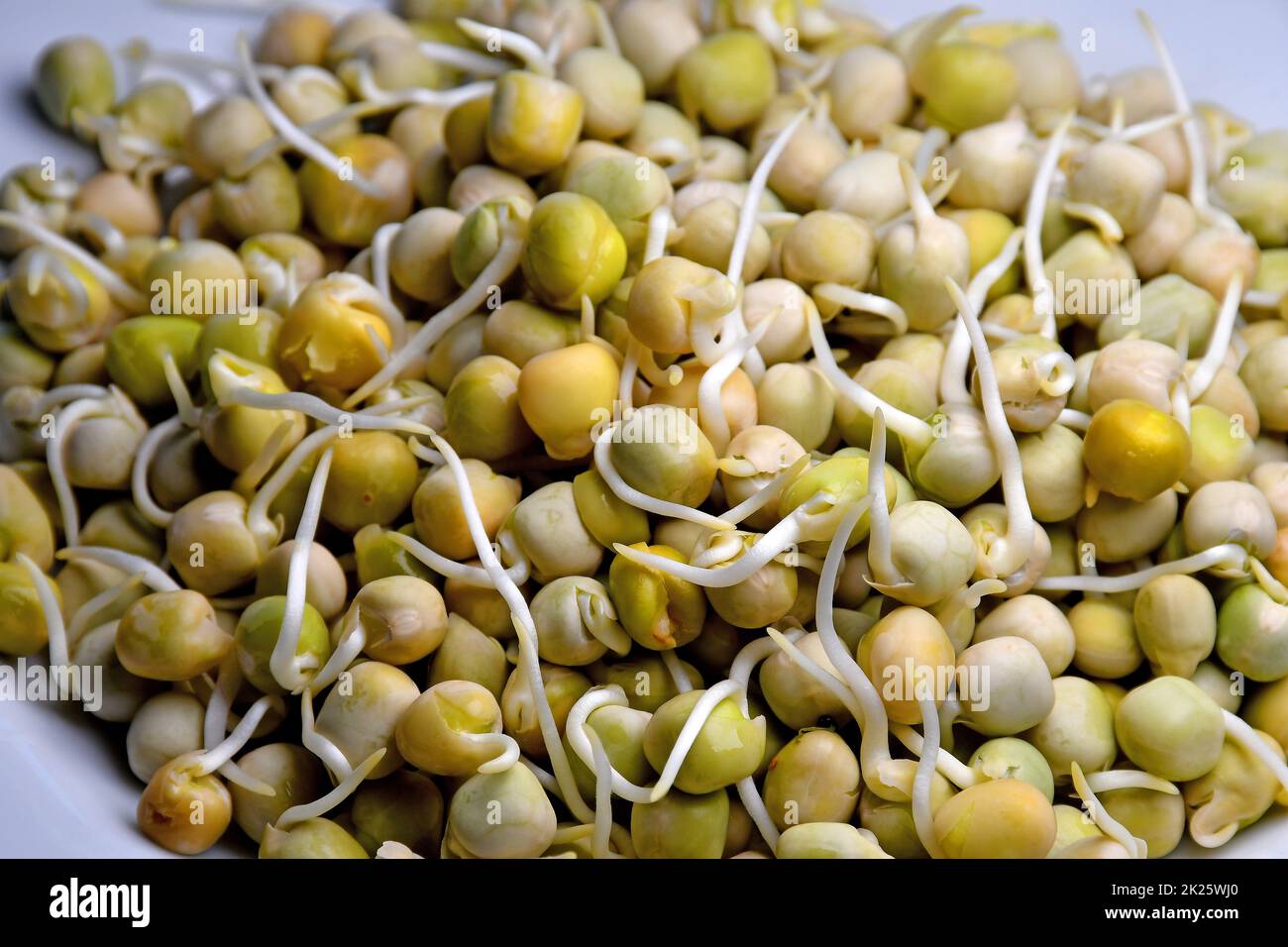 Sprouts closeup hi-res stock photography and images - Alamy