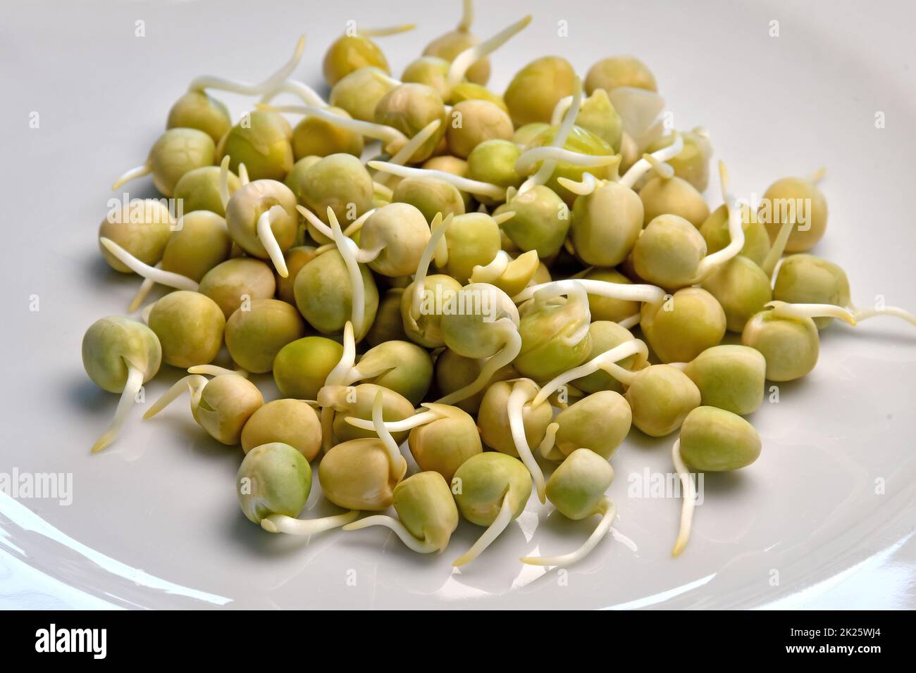 pea sprouts in a closeup Stock Photo - Alamy