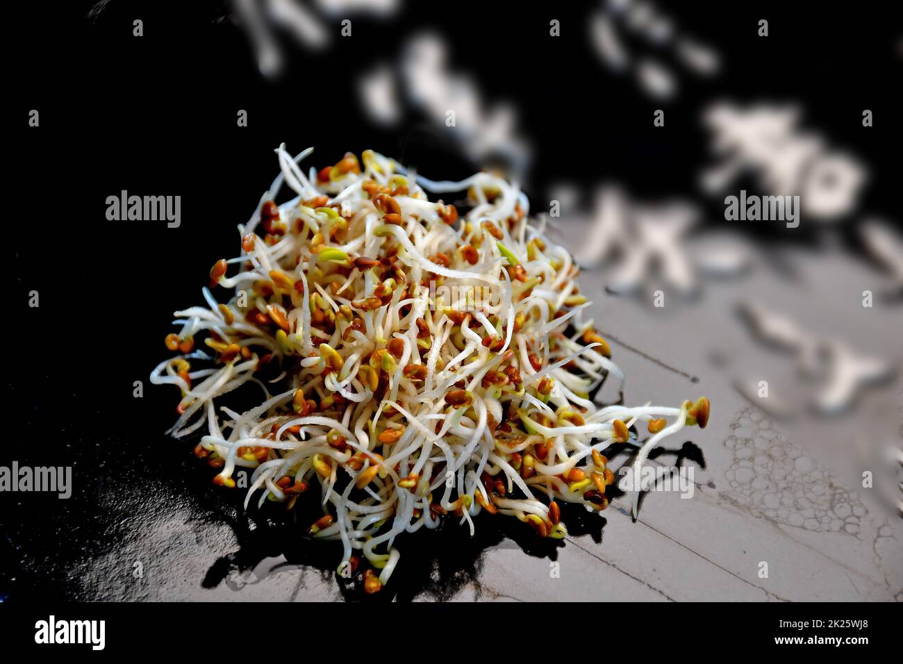 crimson clover sprouts in a closeup Stock Photo - Alamy