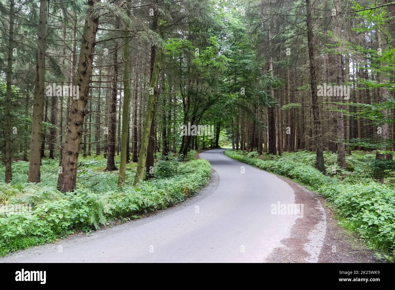 Beautiful view road in hi-res stock photography and images - Alamy