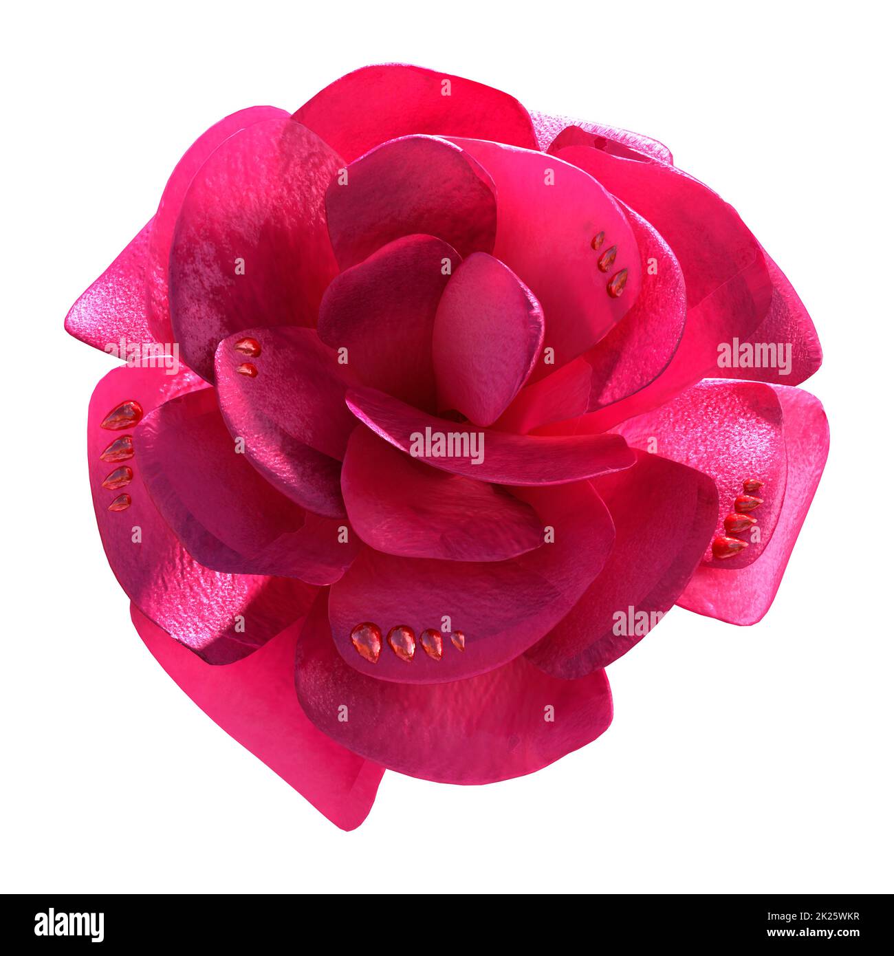 3D Rendering Red Rose on White Stock Photo - Alamy