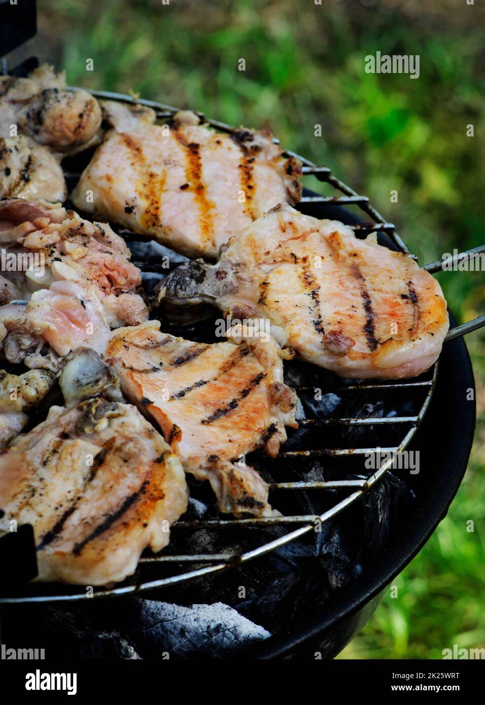 Barbeque in nature hi-res stock photography and images - Alamy