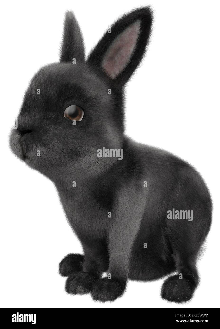 Cute little black bunny or rabbit, 3D Illustration Stock Photo - Alamy