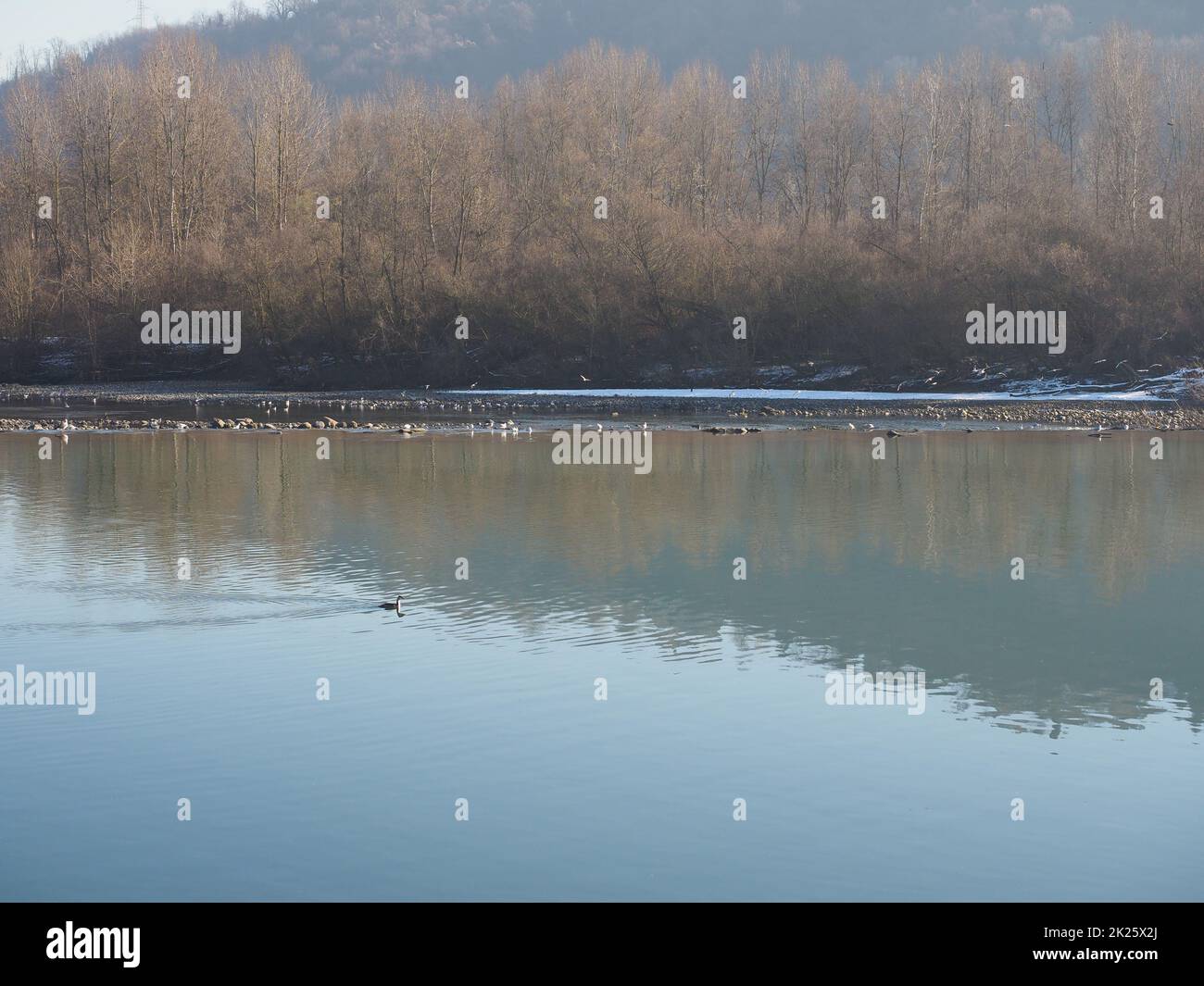 River Po in Chivasso Stock Photo - Alamy