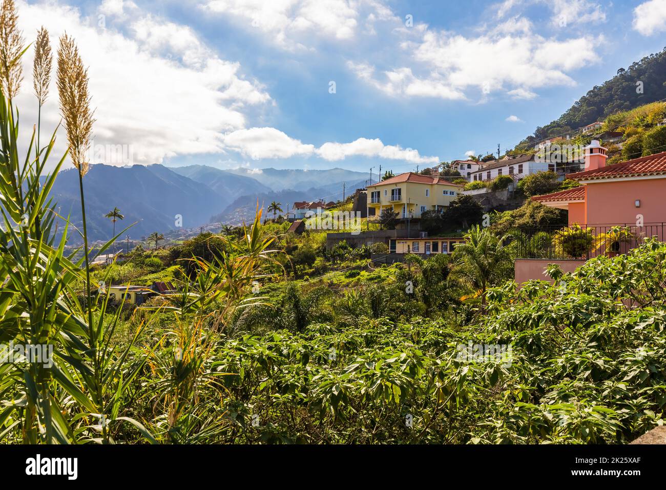 Porto da Cruz on the heights towards the sea, Madeira Stock Photo - Alamy
