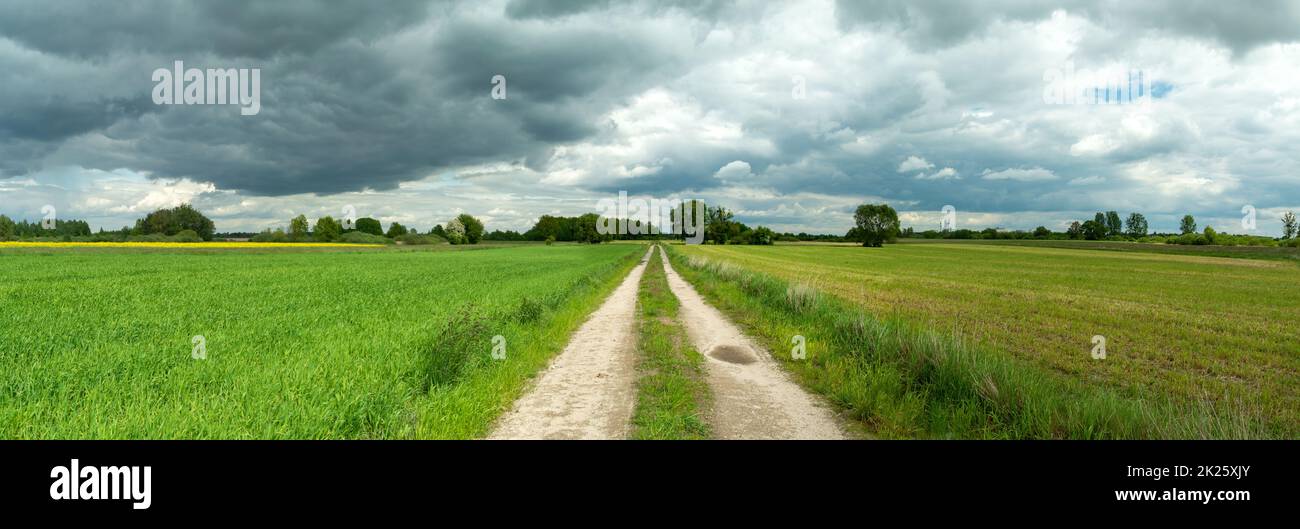 A straight path through the fields and clouds to the sky Stock Photo ...