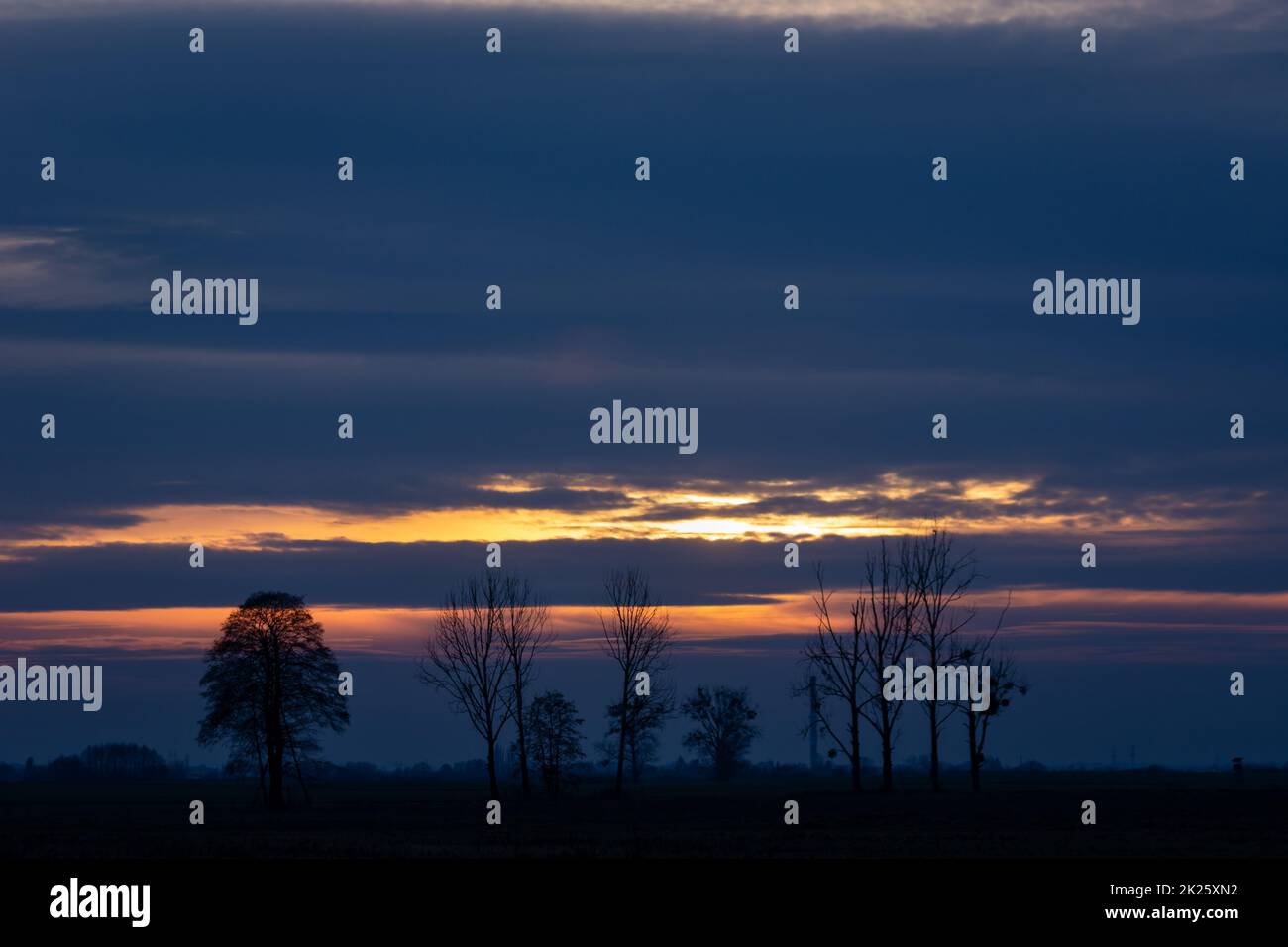 Evening photography of trees hi-res stock photography and images - Alamy