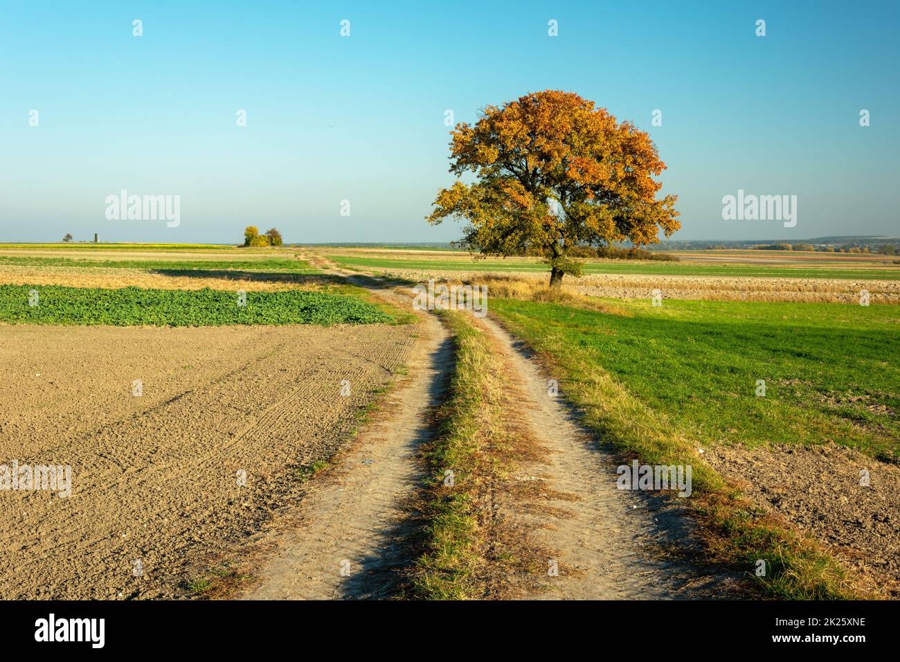 Fields old road hi-res stock photography and images - Alamy