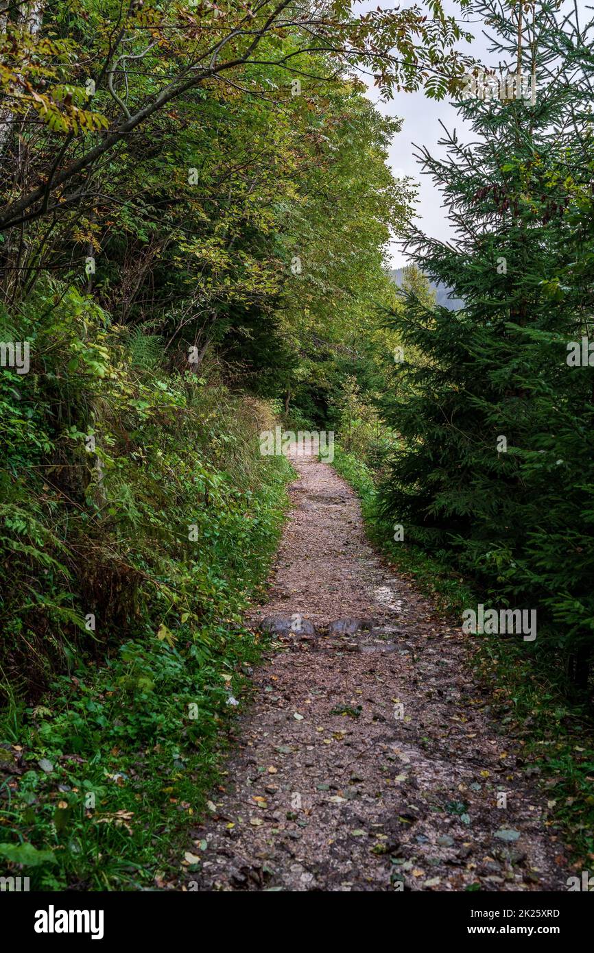 Late autumn light in hi-res stock photography and images - Alamy