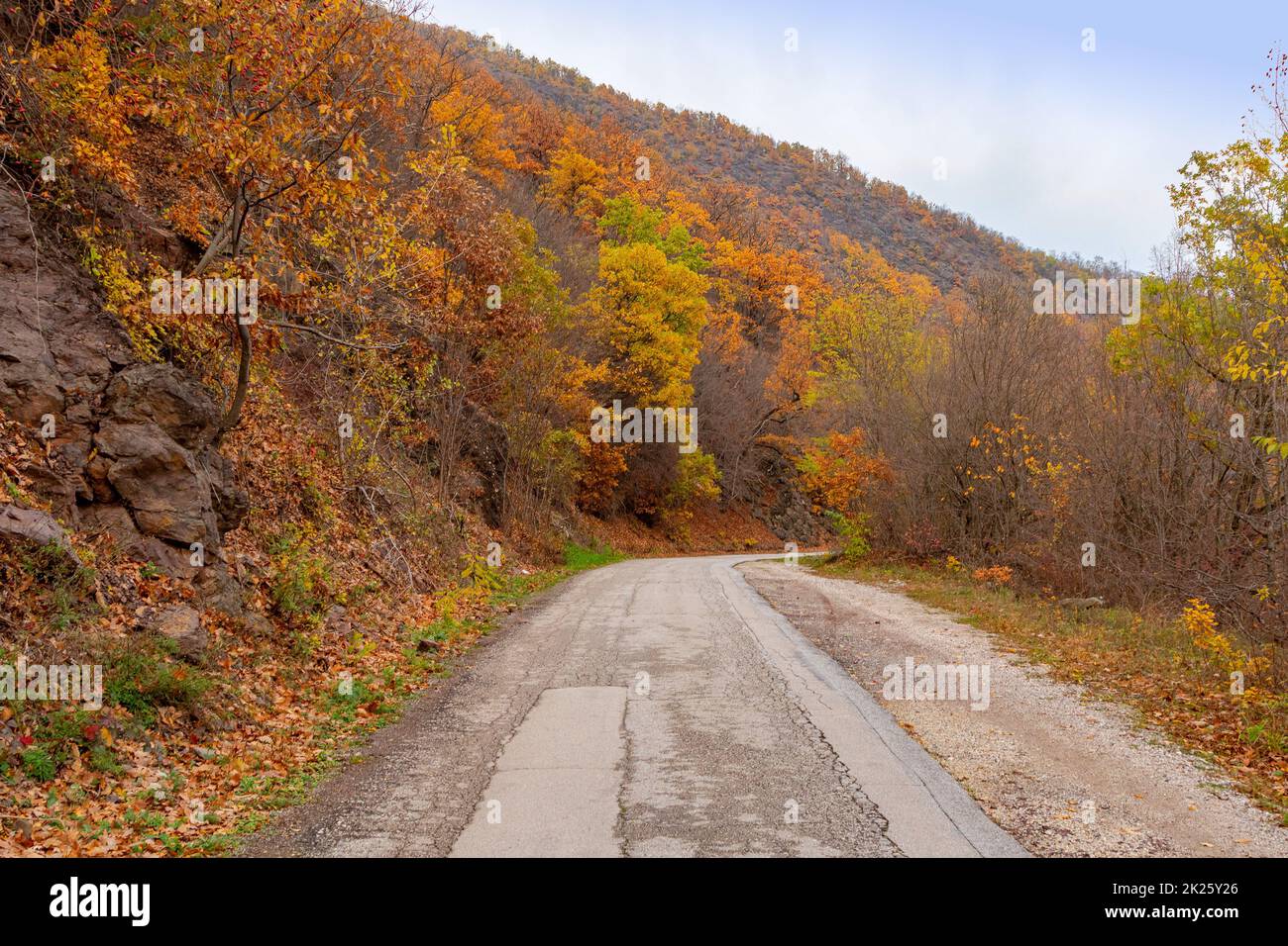 Rural road during autumn hi-res stock photography and images - Alamy