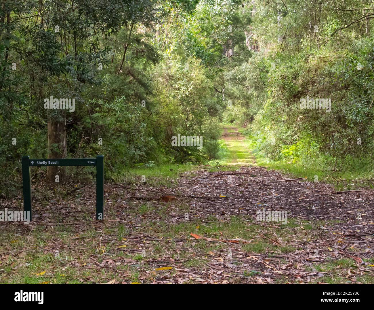Elliot Road - Shelly Beach Stock Photo - Alamy