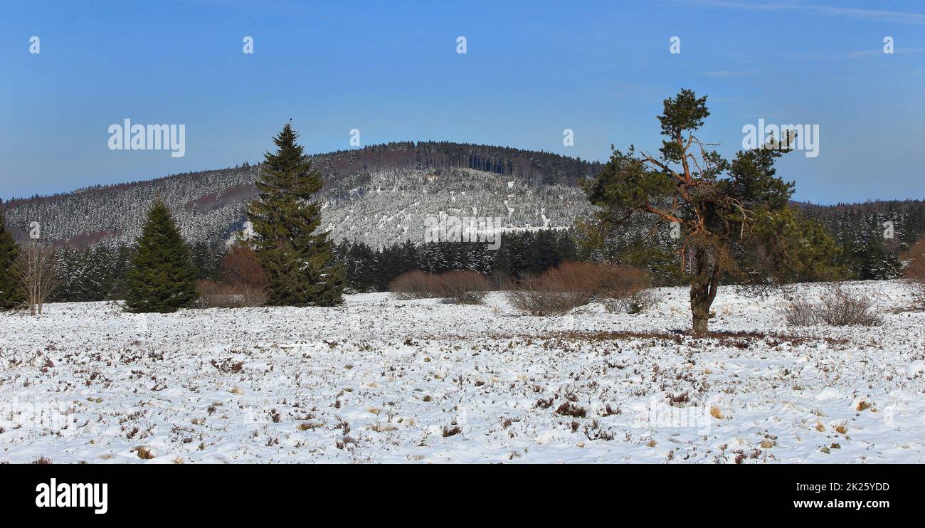 Der langenberg hi-res stock photography and images - Alamy