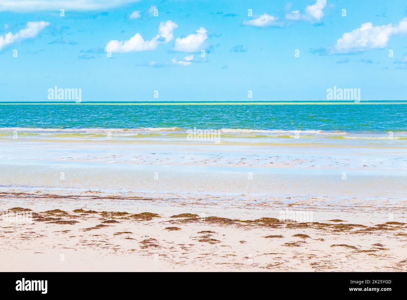Natural Holbox island beach sandbank panorama turquoise water waves ...