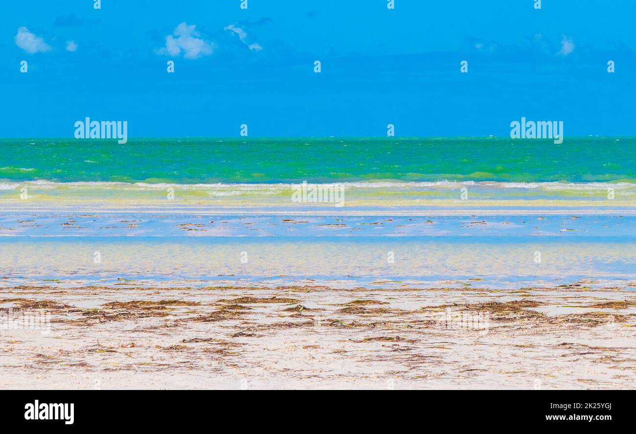 Natural Holbox island beach sandbank panorama turquoise water waves ...