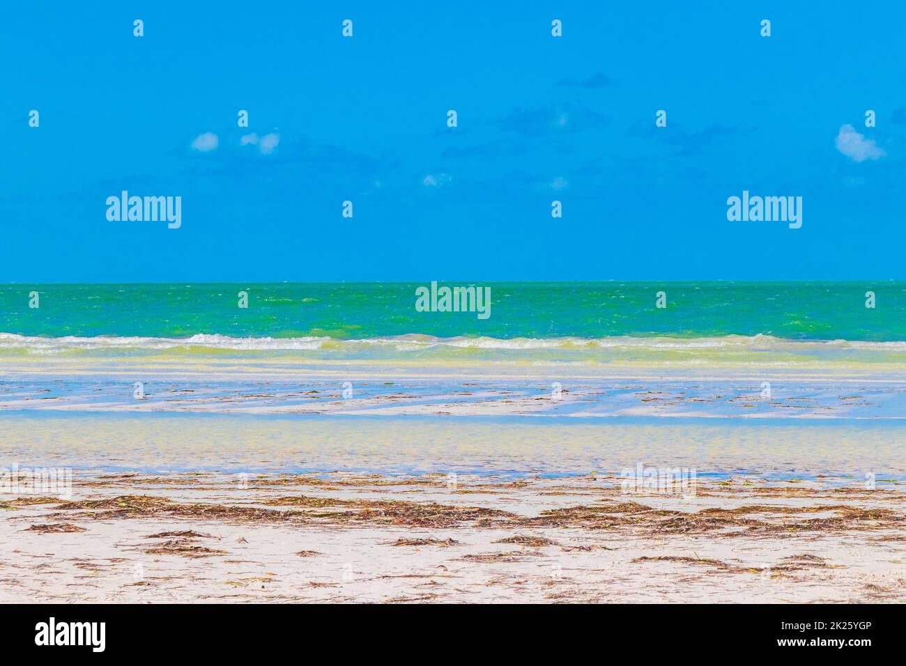 Natural Holbox island beach sandbank panorama turquoise water waves ...