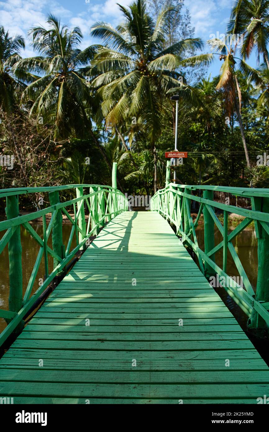 Coconut trees wooden bridge stretching hi-res stock photography and ...