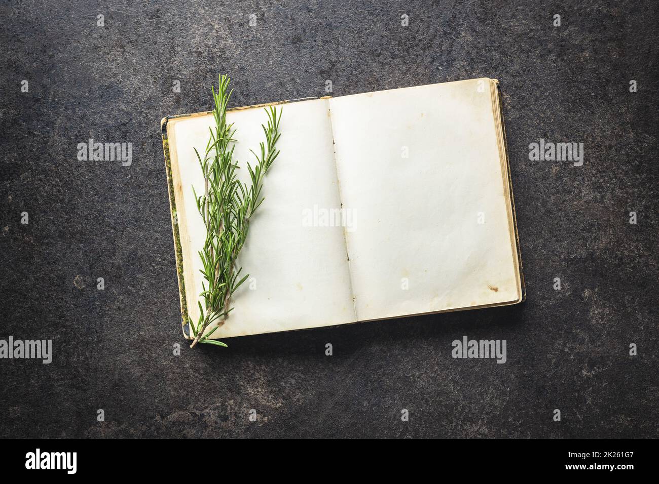 Blank cookbook and spice. Recipe book with rosemary branch Stock Photo ...