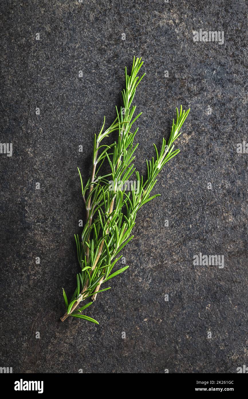 Green rosemary branch Stock Photo - Alamy