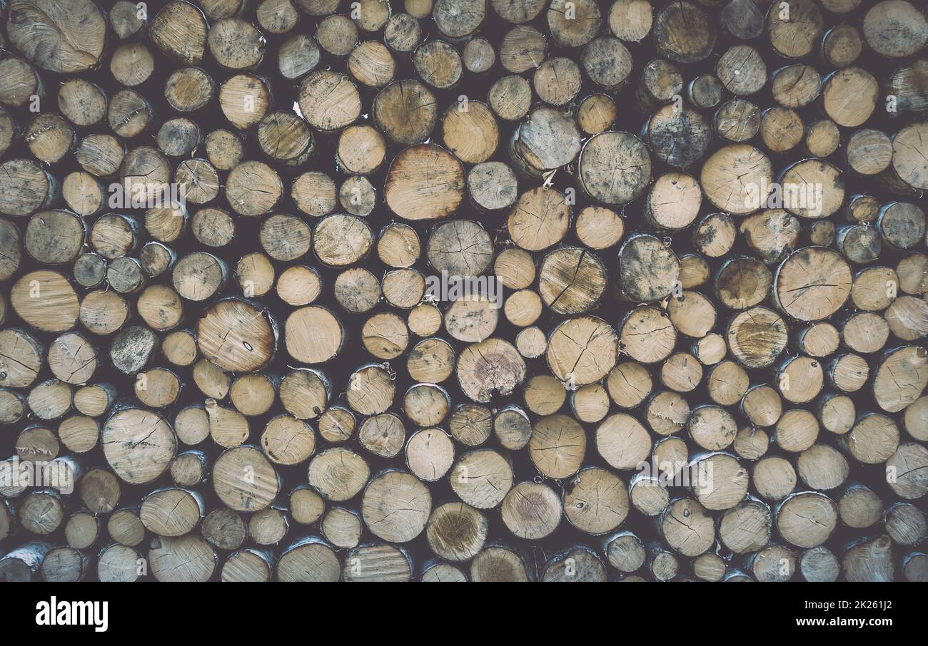 Stack of tree trunks. Texture background Stock Photo - Alamy