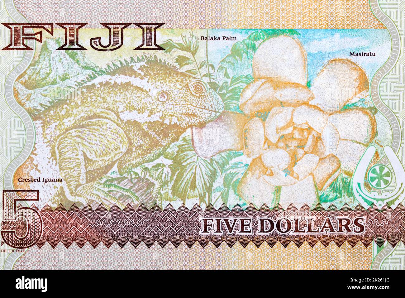 Fijian money hi-res stock photography and images - Alamy