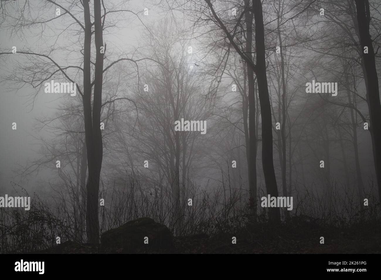 Morning fog and winter hi-res stock photography and images - Alamy