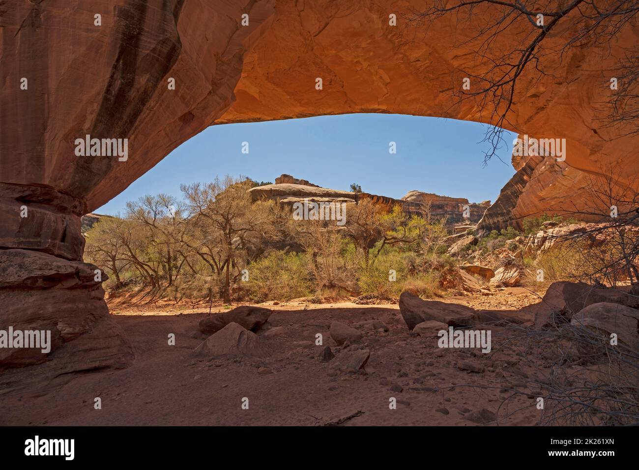 Looking Out to the Desert From Under a Natural Bridge Stock Photo - Alamy