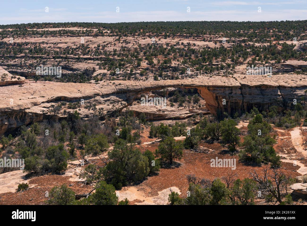 Natural Bridge in a Slick Rock Desert Landscape Stock Photo - Alamy