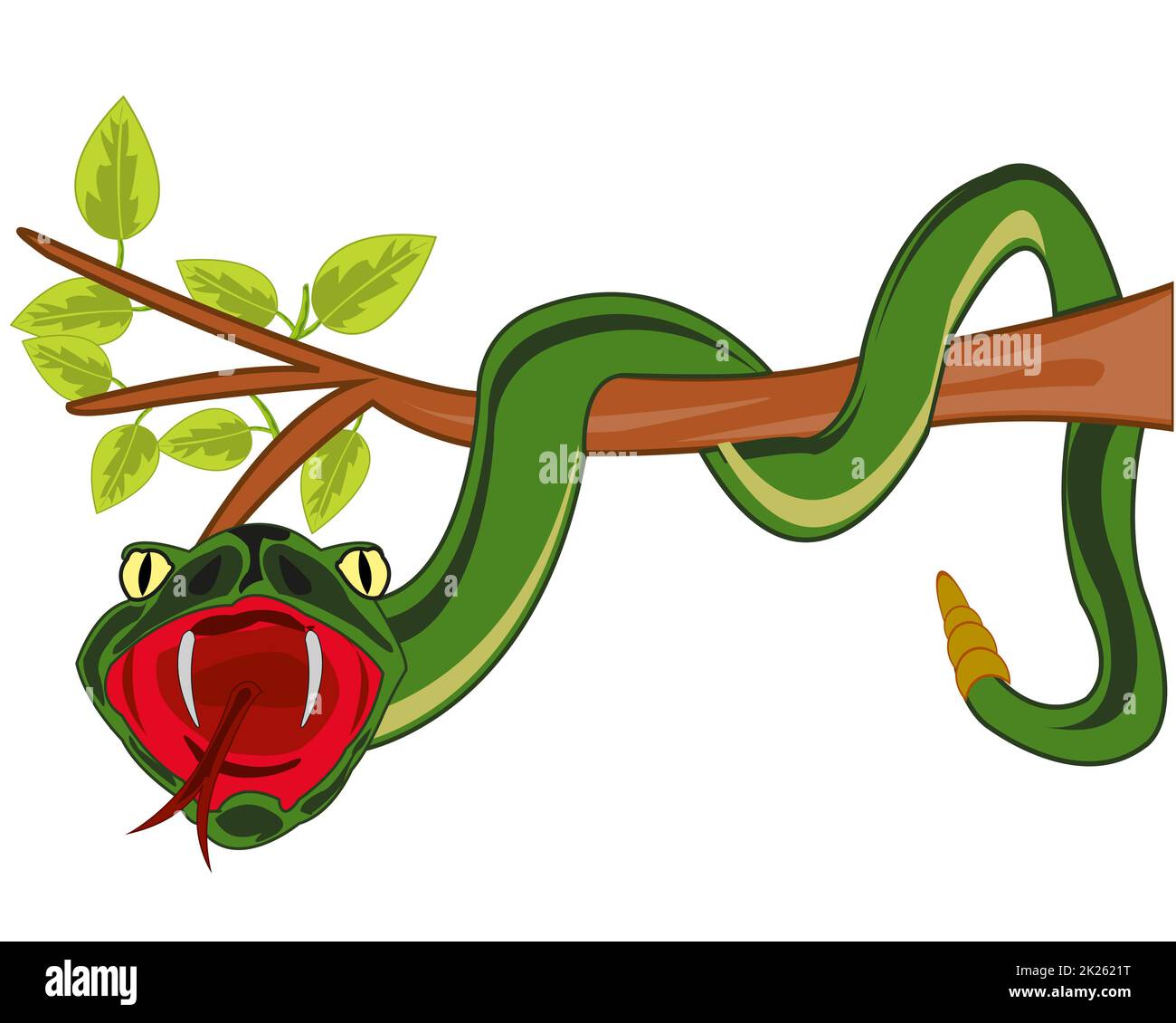 Foliage of tree Cut Out Stock Images & Pictures - Alamy