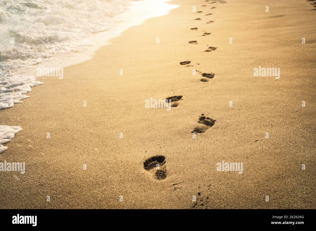 Shoreline with footprints in the sand hi-res stock photography and ...