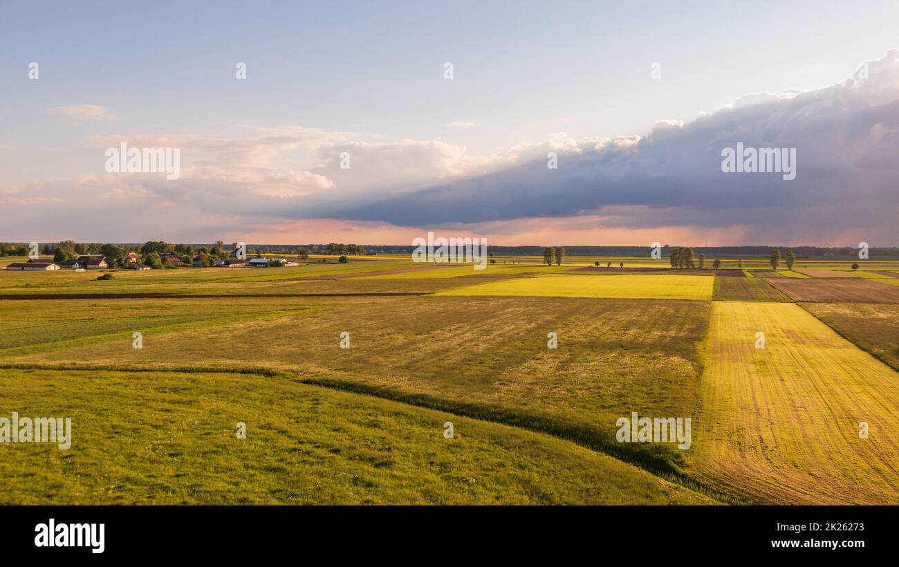 Meadow with trees landscape from aerial Stock Photo - Alamy