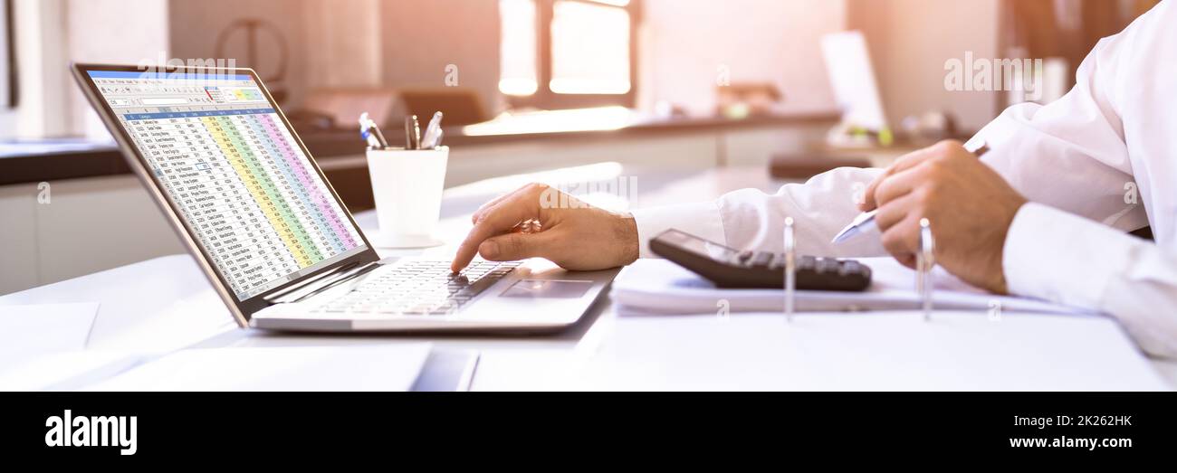 Electronic Spreadsheet Analyst Or Auditor Using Software Stock Photo ...