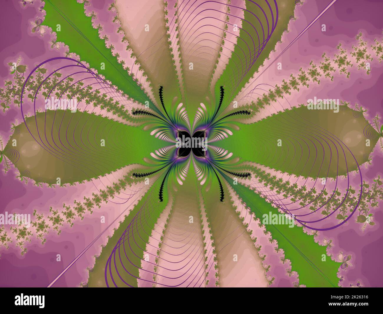 Fractal picture: beautiful patterns in the form of a flower Stock Photo ...