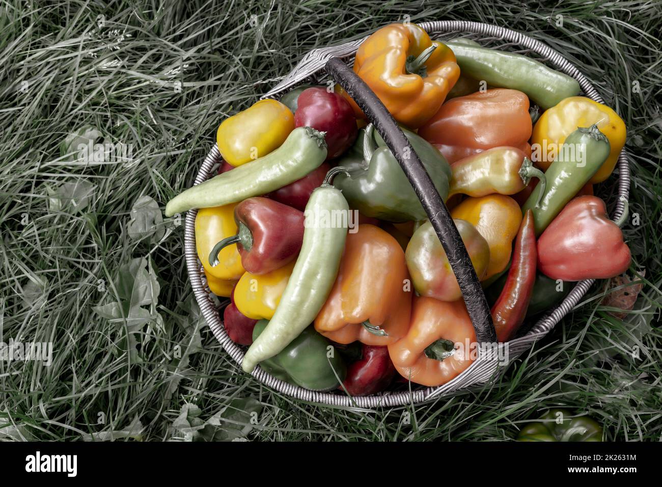 Grass fruits hi-res stock photography and images - Alamy
