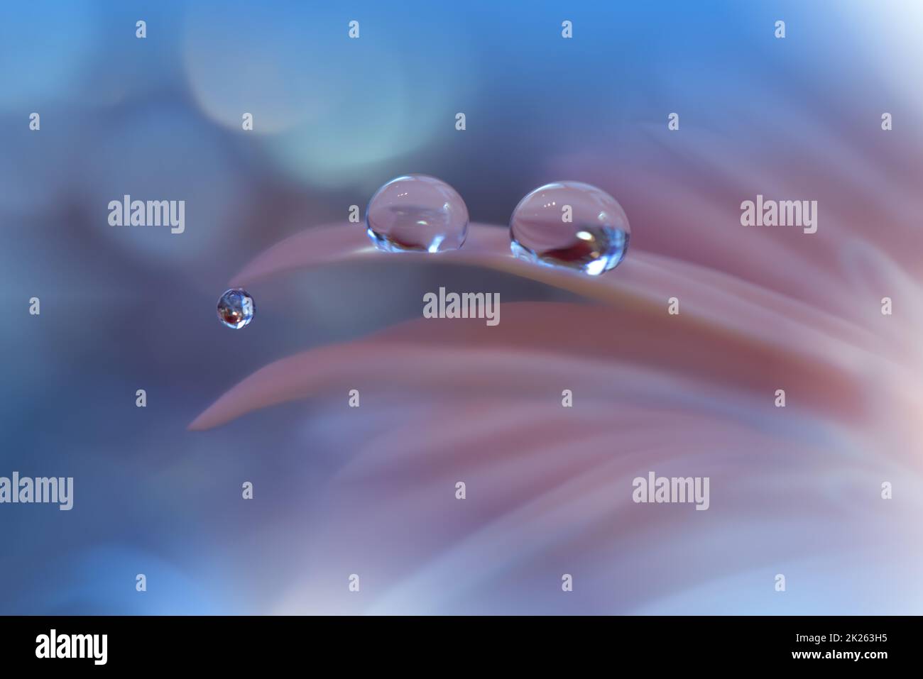 Wallpaper card happy wedding hi-res stock photography and images - Alamy