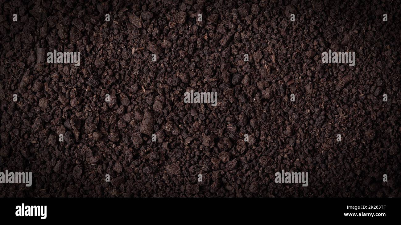 Soil Background Texture