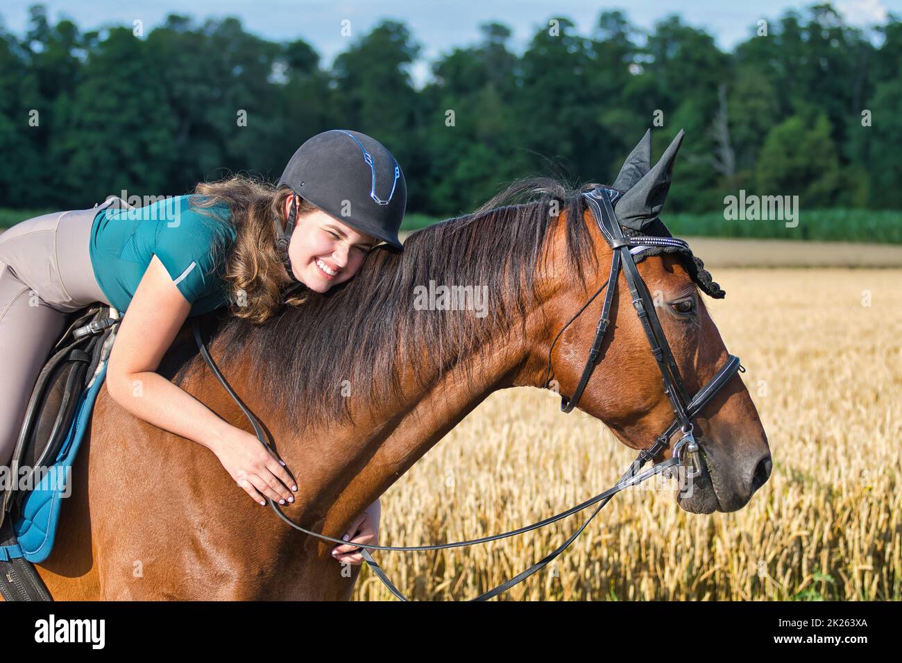 Portrait of a caucasian teenage girl, hugging her bay horse Stock Photo ...