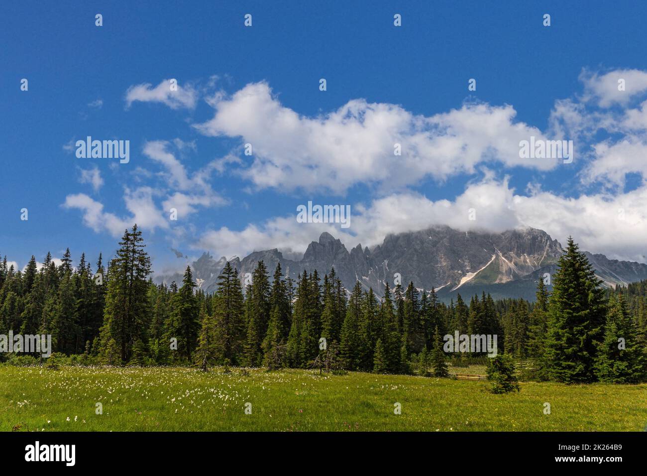 Typical alpine pastures Stock Photo - Alamy