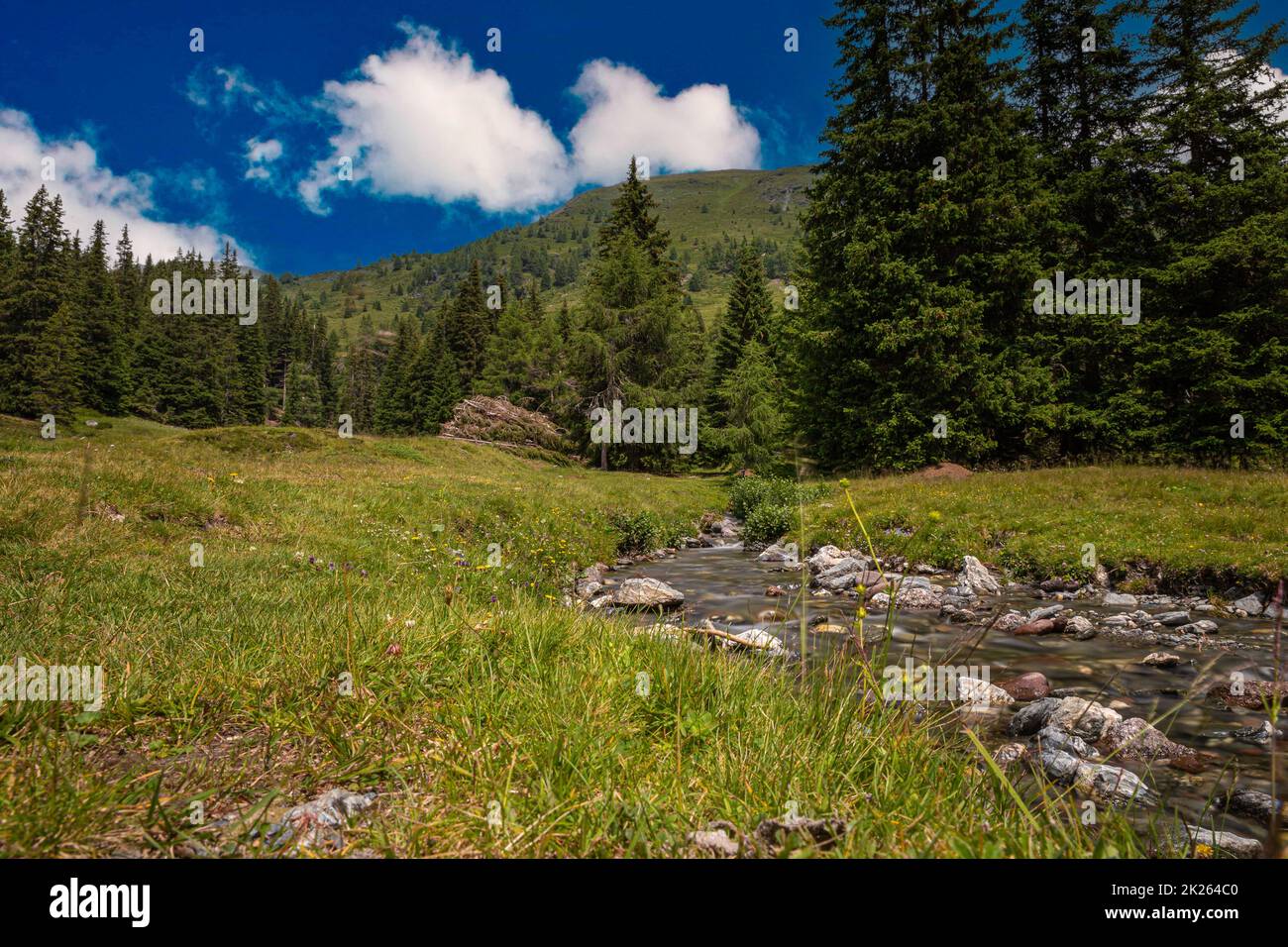 clear stream flowing Stock Photo - Alamy