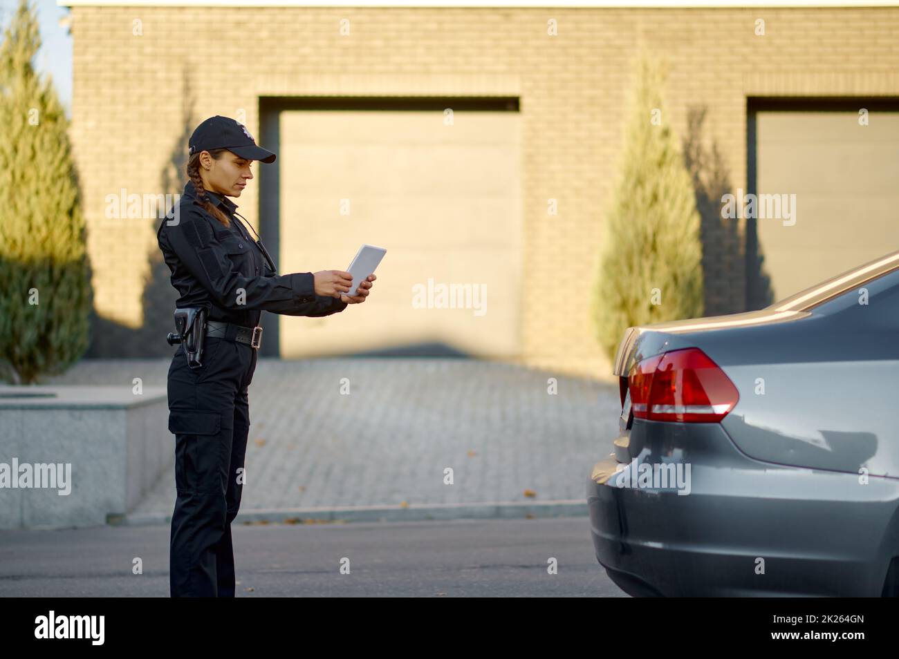 Woman police officer check stopped car number Stock Photo - Alamy