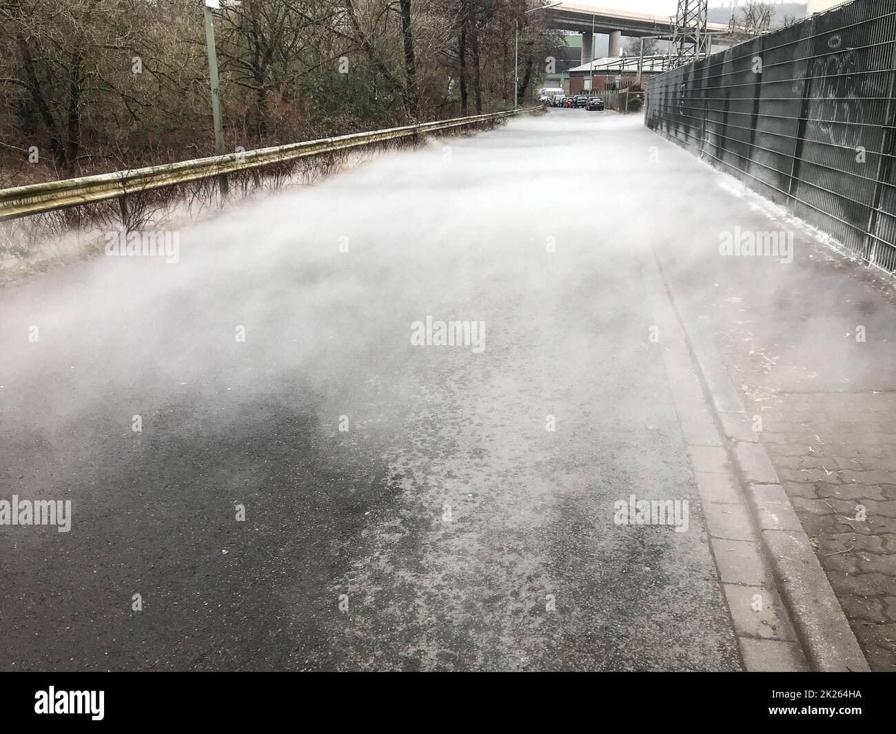 autumn ground fog Stock Photo - Alamy