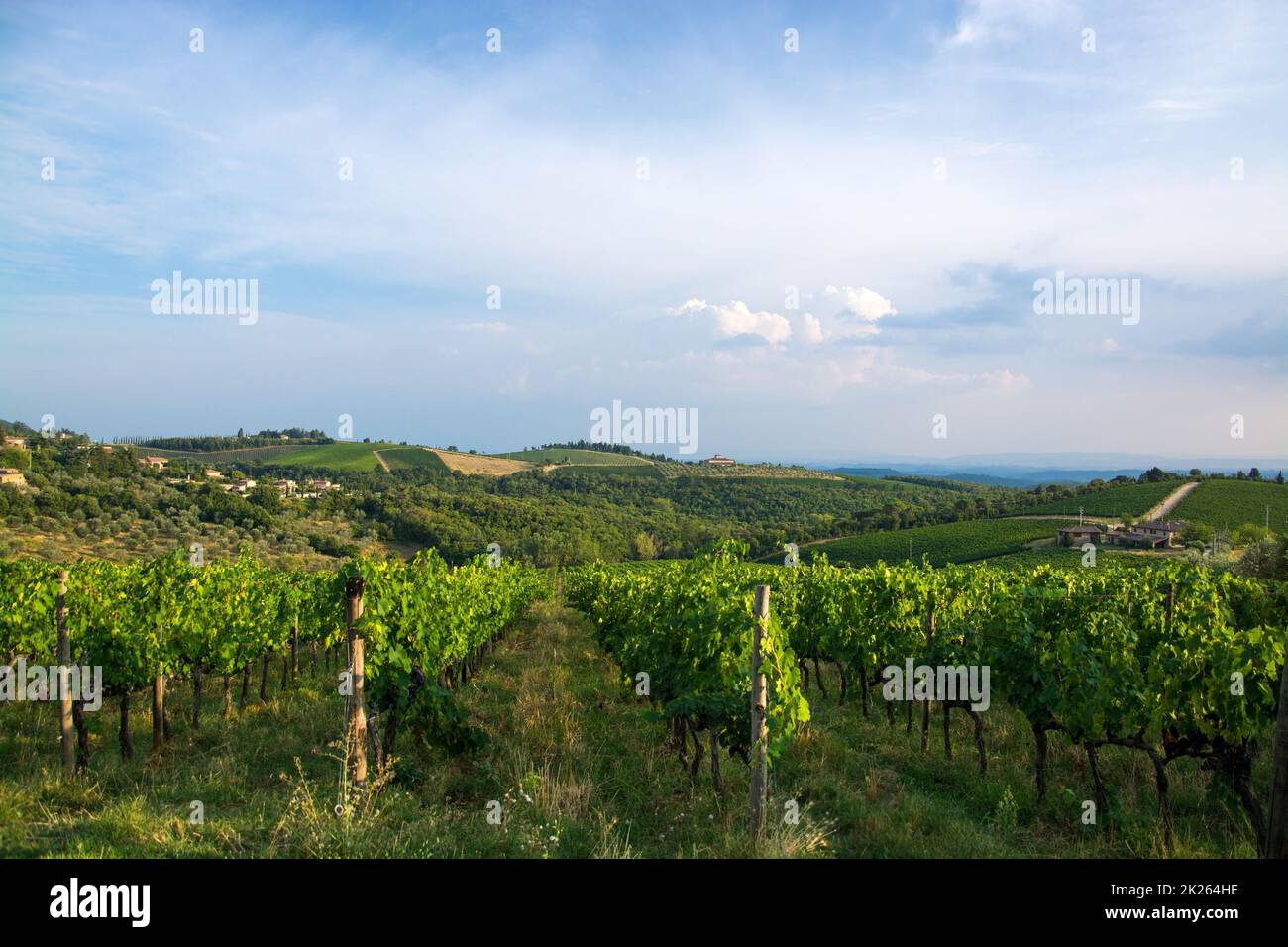 Toscana wine region hi-res stock photography and images - Alamy