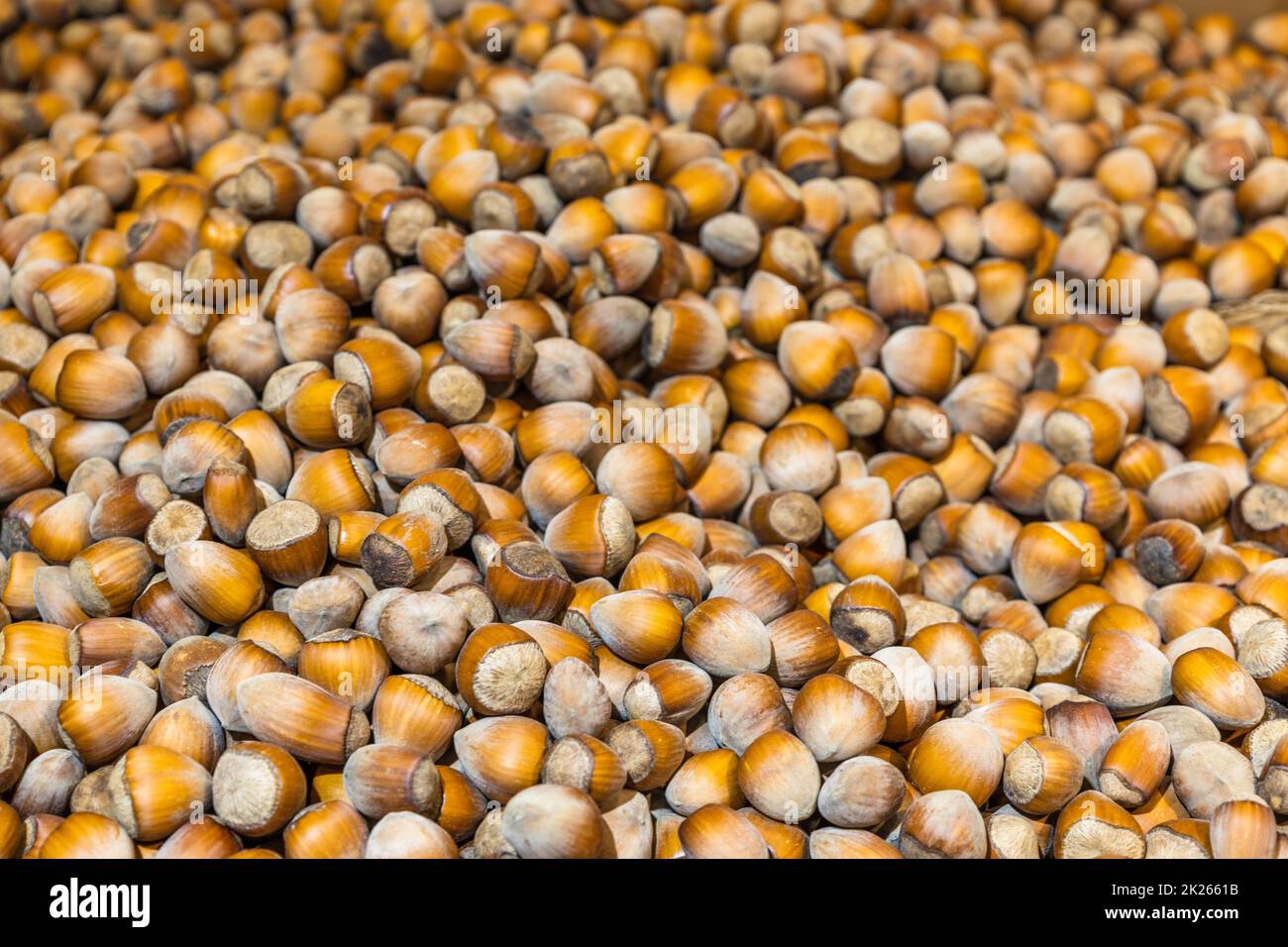 Close up hazelnuts. Hazelnut composition and background. Organic ...