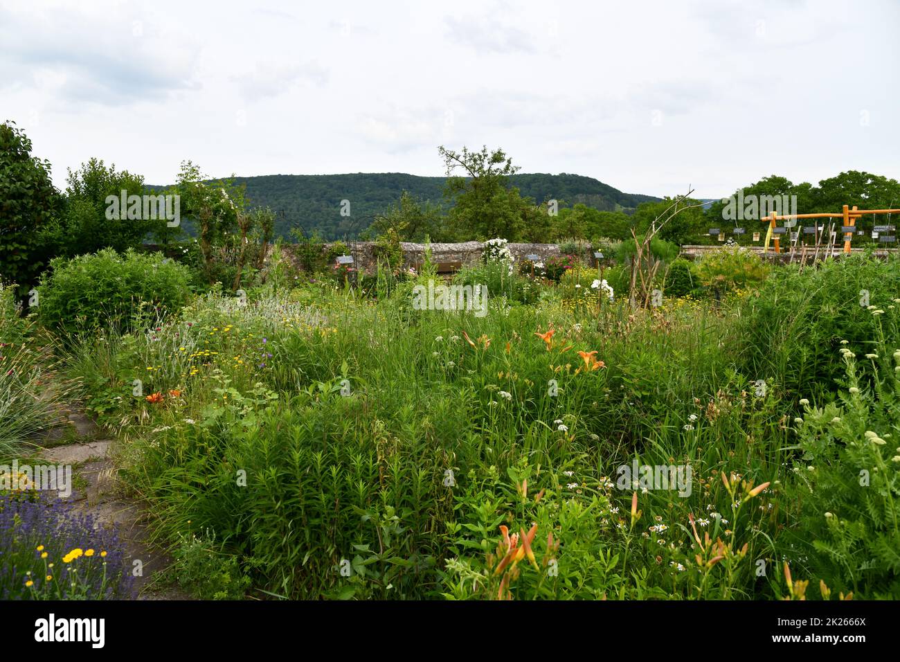 Tended grass hi-res stock photography and images - Alamy