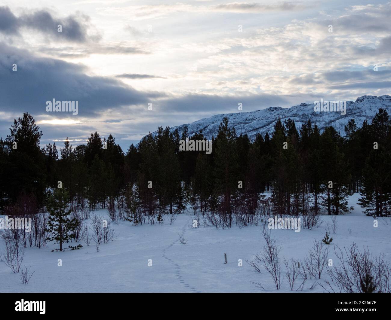 Landscape in Troms og Finnmark, Tromso, Norway Stock Photo - Alamy