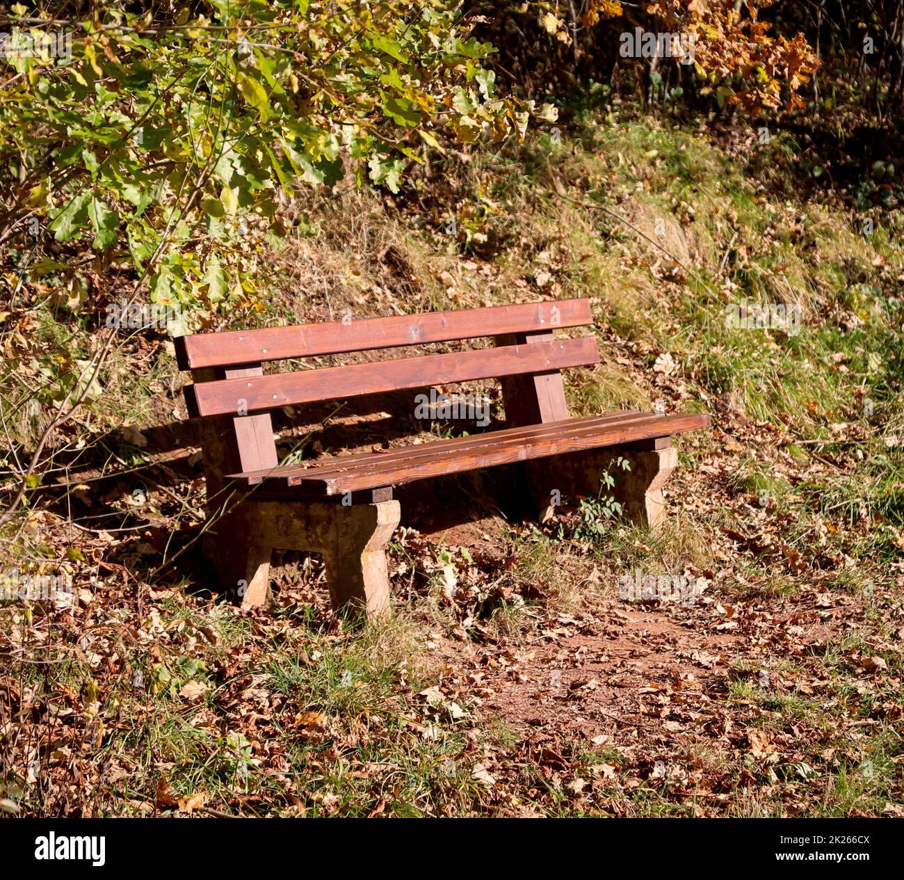 A park bench in the autumn light along a hiking trail Stock Photo - Alamy