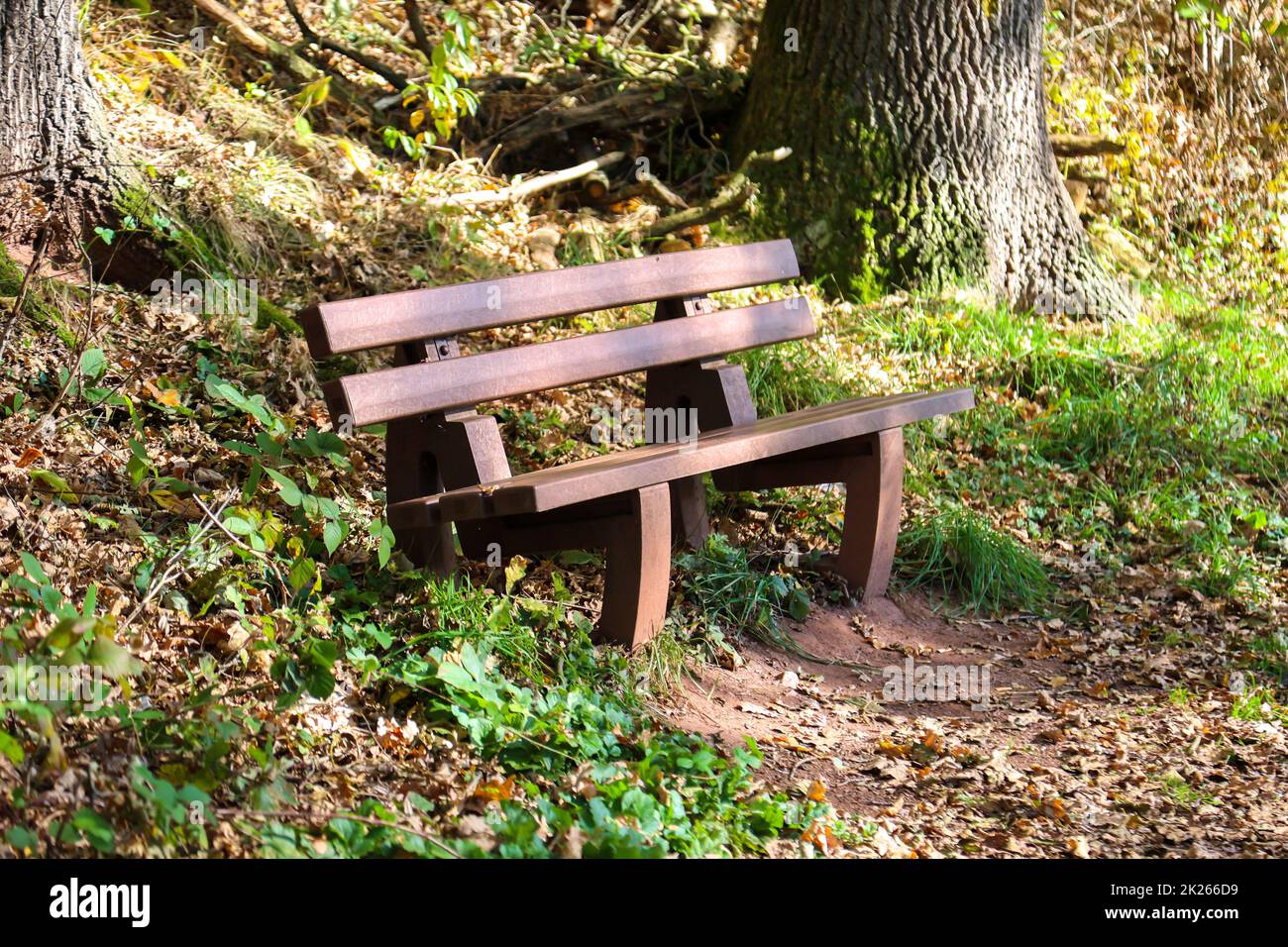 A park bench in the autumn light along a hiking trail Stock Photo - Alamy