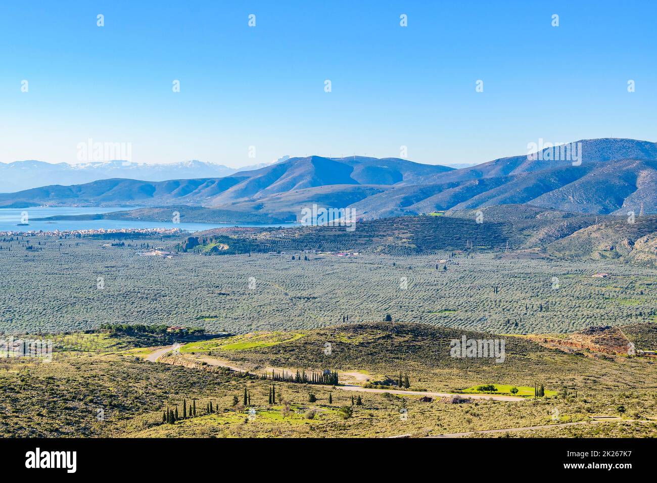 Phocis hi-res stock photography and images - Alamy