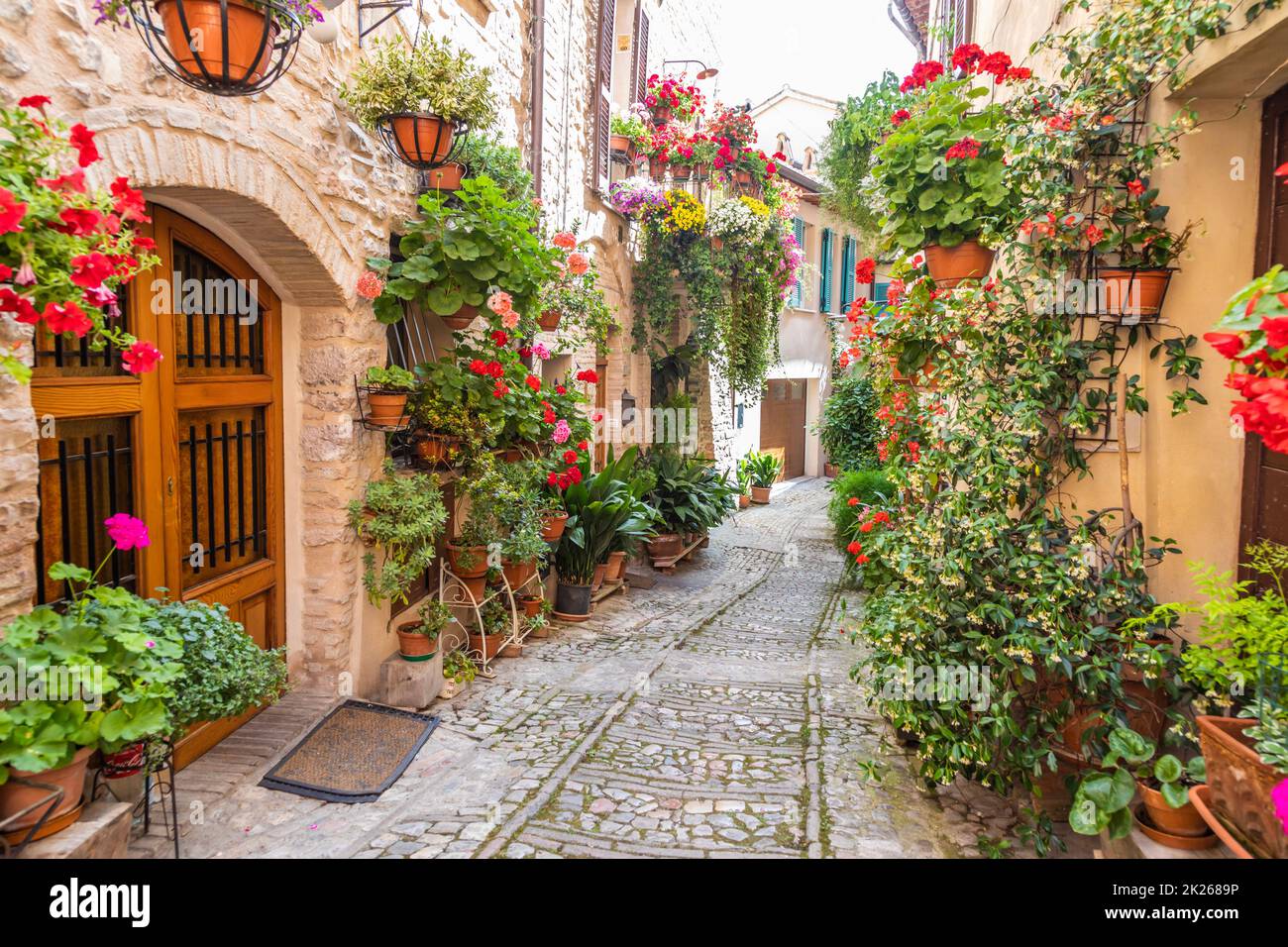 Flowers in ancient street located in Spello village. Umbria Region ...
